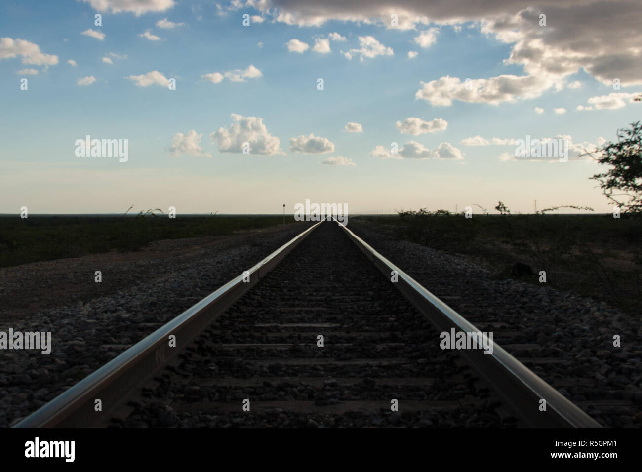 Railroad track converging at the horizon Stock Photo - Alamy