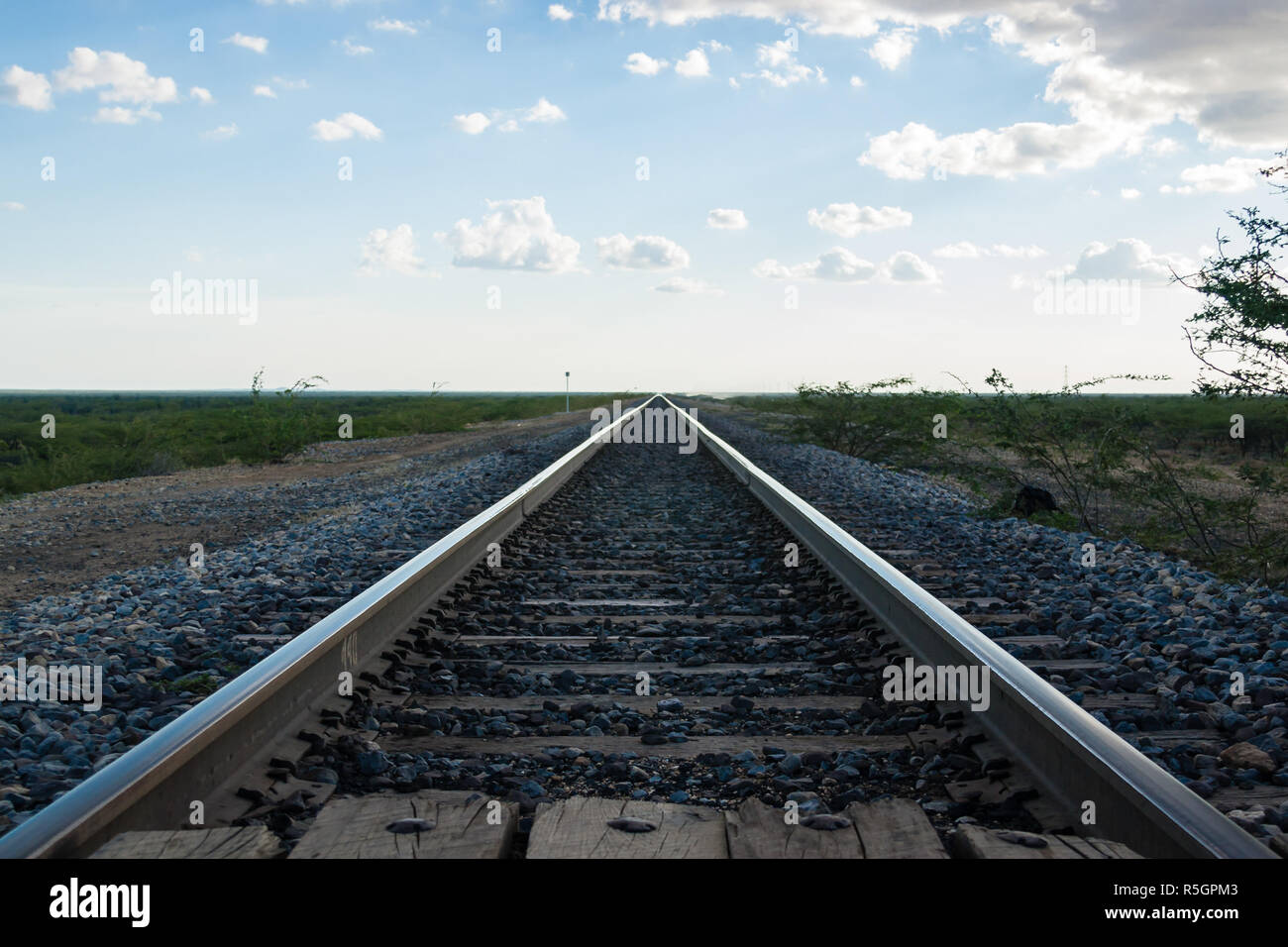 Railroad track converging at the horizon Stock Photo - Alamy