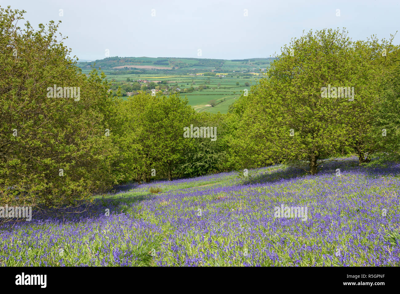Great ayton landscape north york moors yorkshire blue sky hi-res stock ...