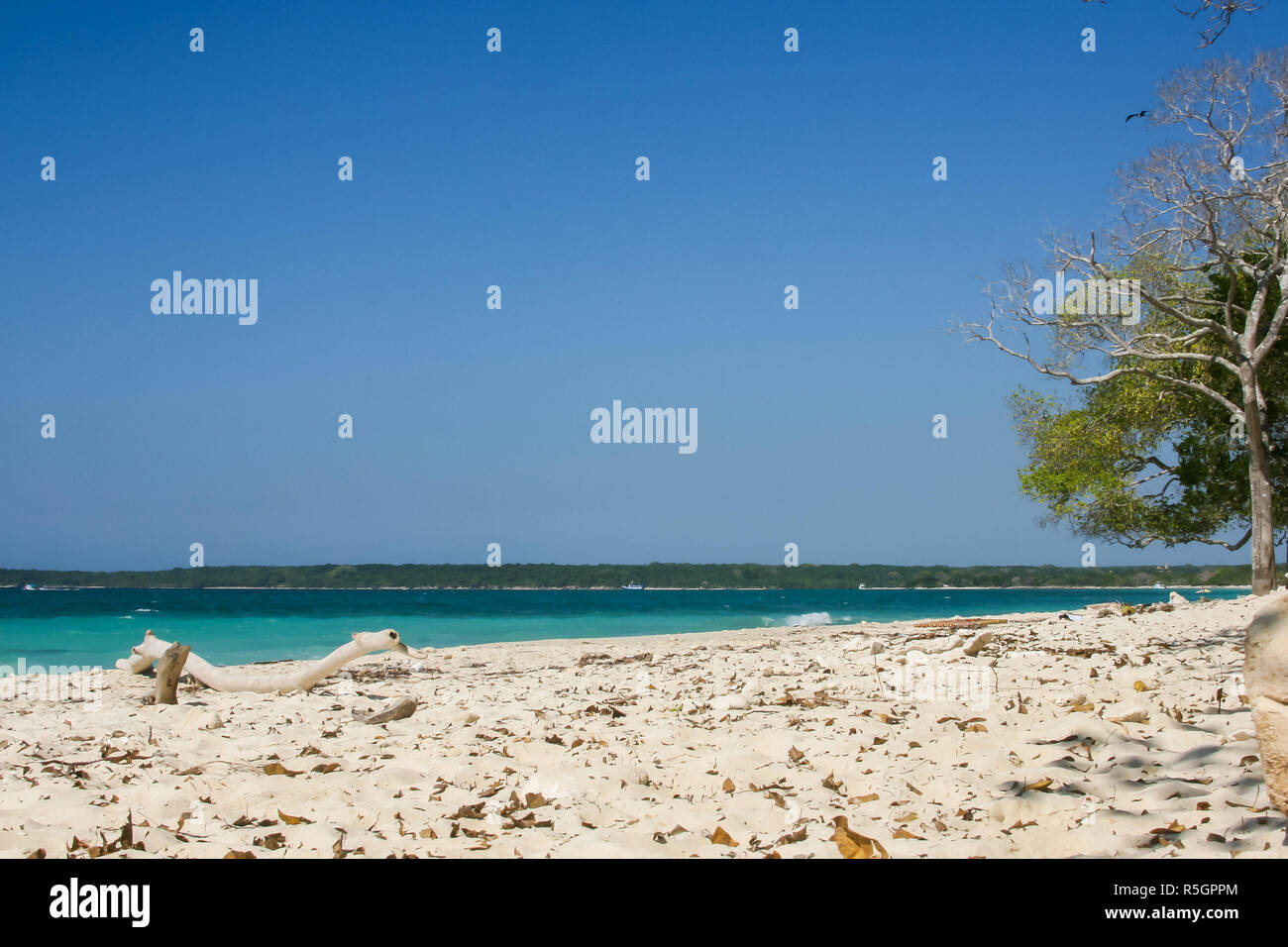 Beautiful white beach Stock Photo - Alamy