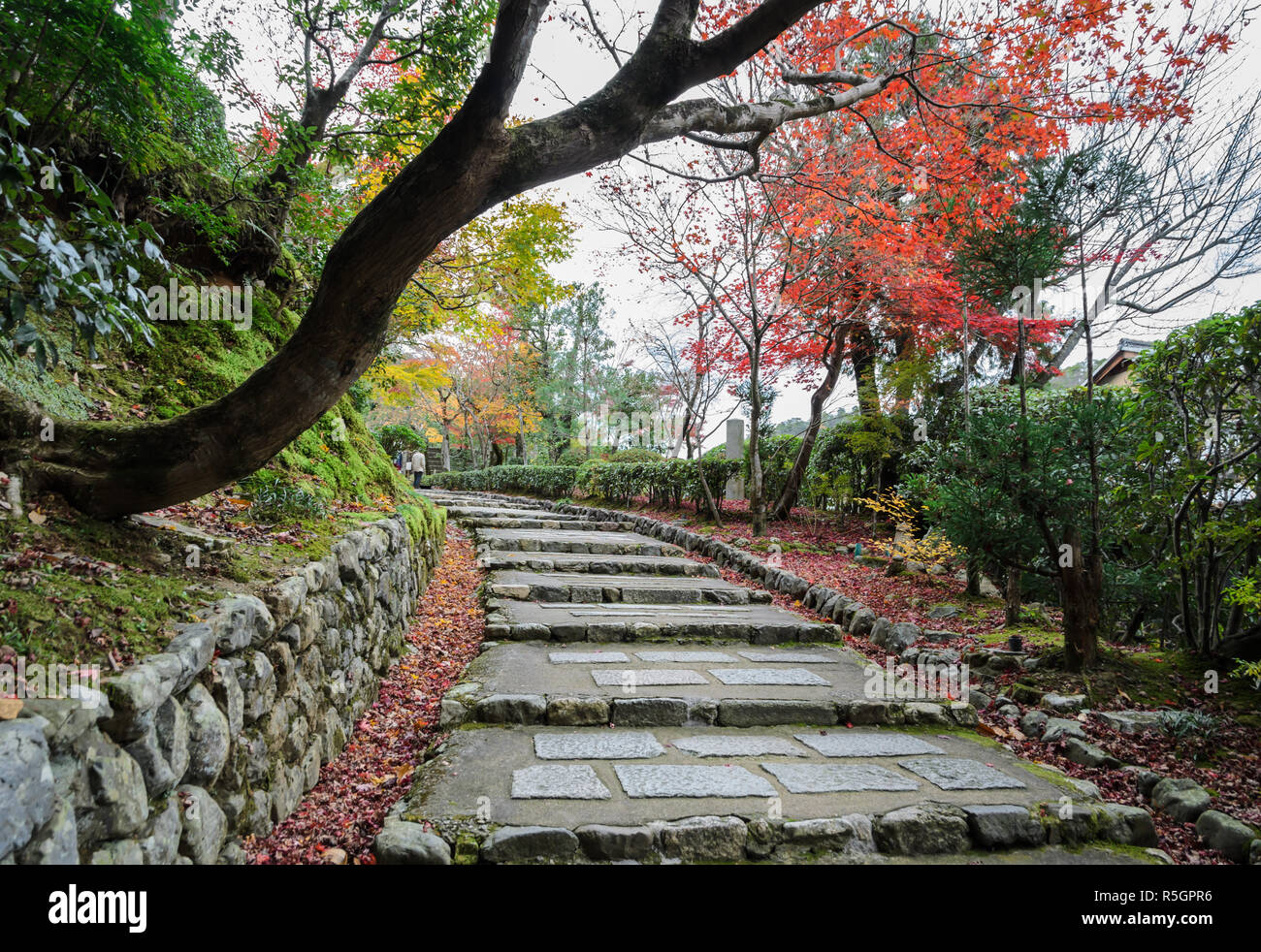 Rock in japan festival hi-res stock photography and images - Alamy