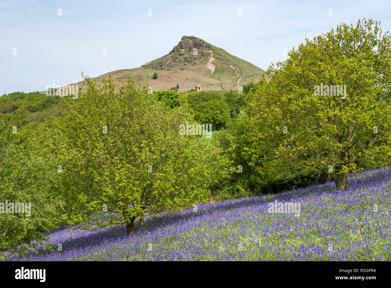 Sunny moors hi-res stock photography and images - Alamy