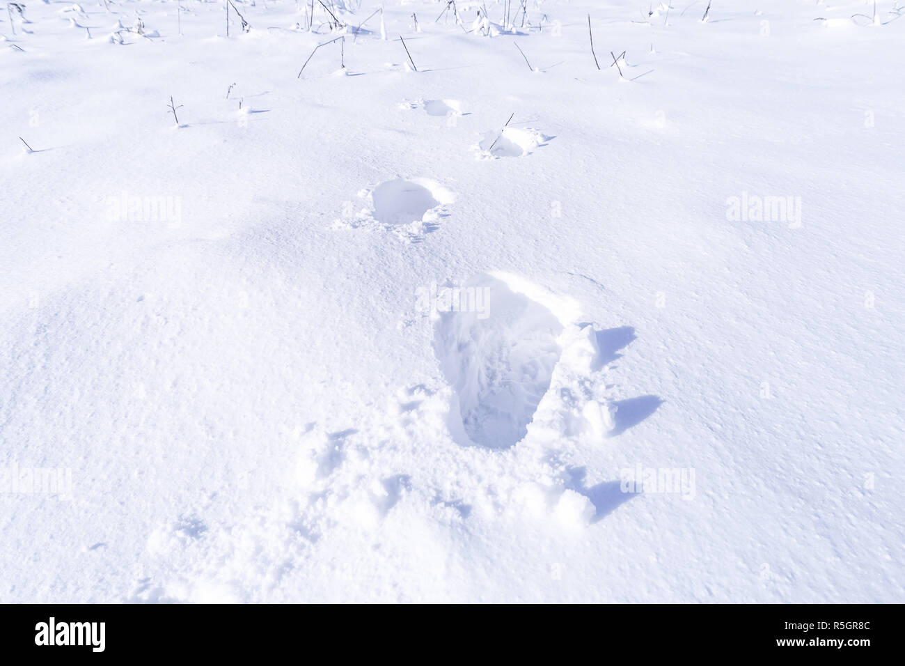 Footprint and hands on snow for texture background Stock Photo - Alamy