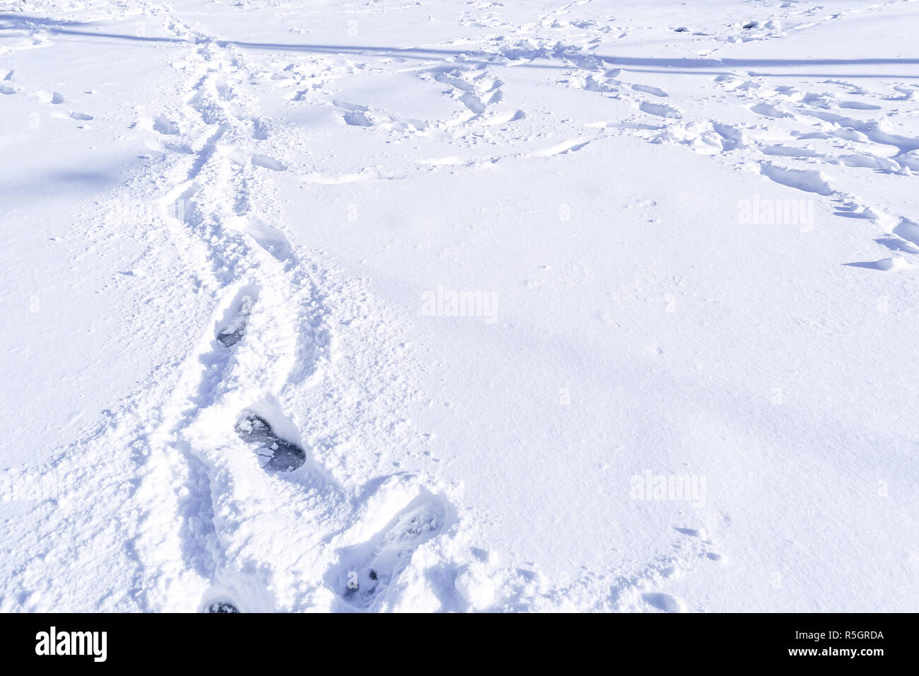 Footprint and hands on snow for texture background Stock Photo - Alamy