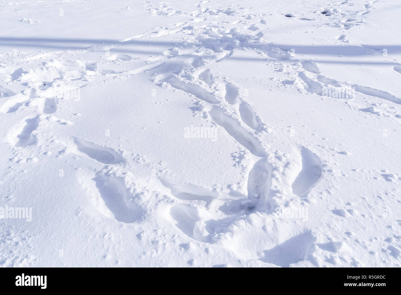 Footprint and hands on snow for texture background Stock Photo - Alamy