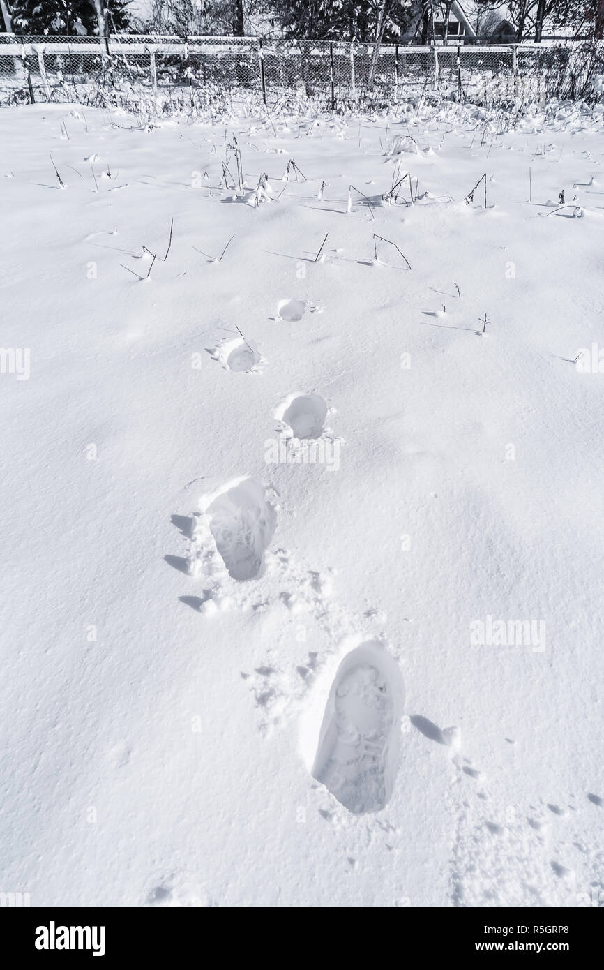 Footprint and hands on snow for texture background Stock Photo - Alamy