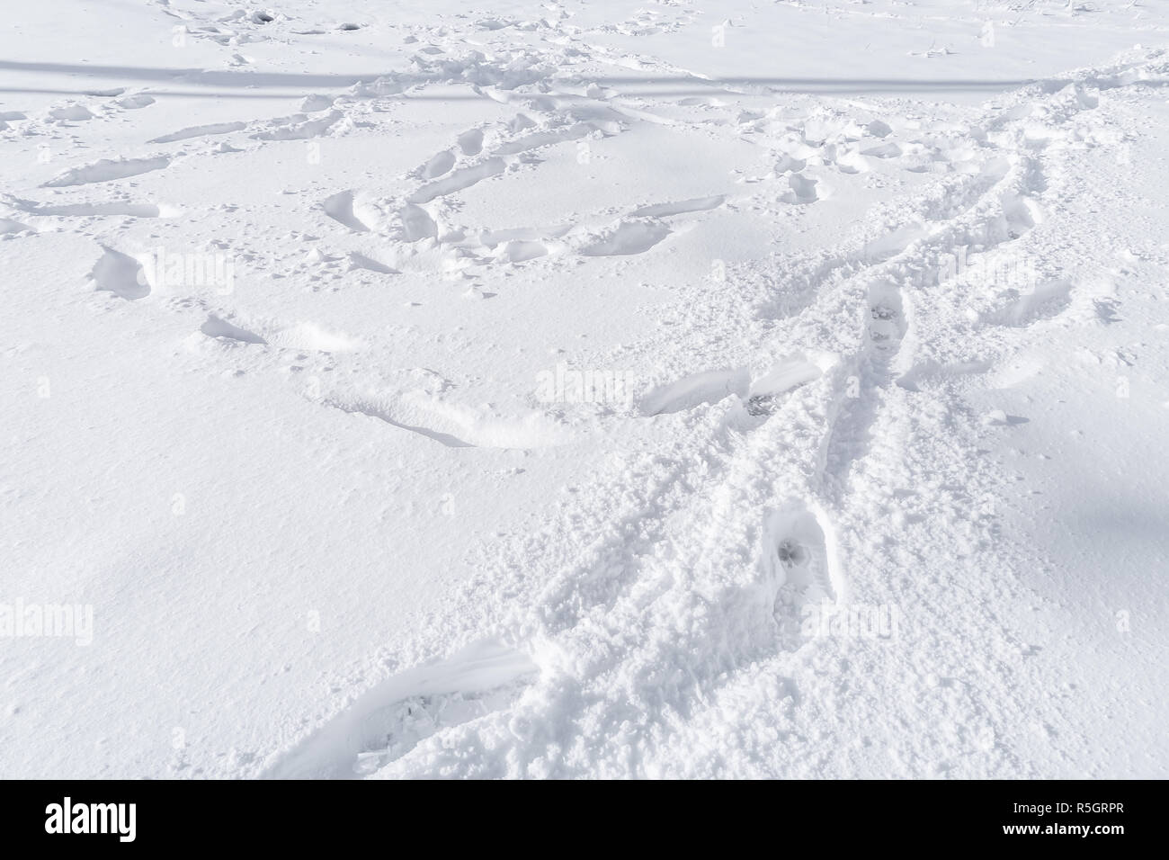 Footprint and hands on snow for texture background Stock Photo - Alamy