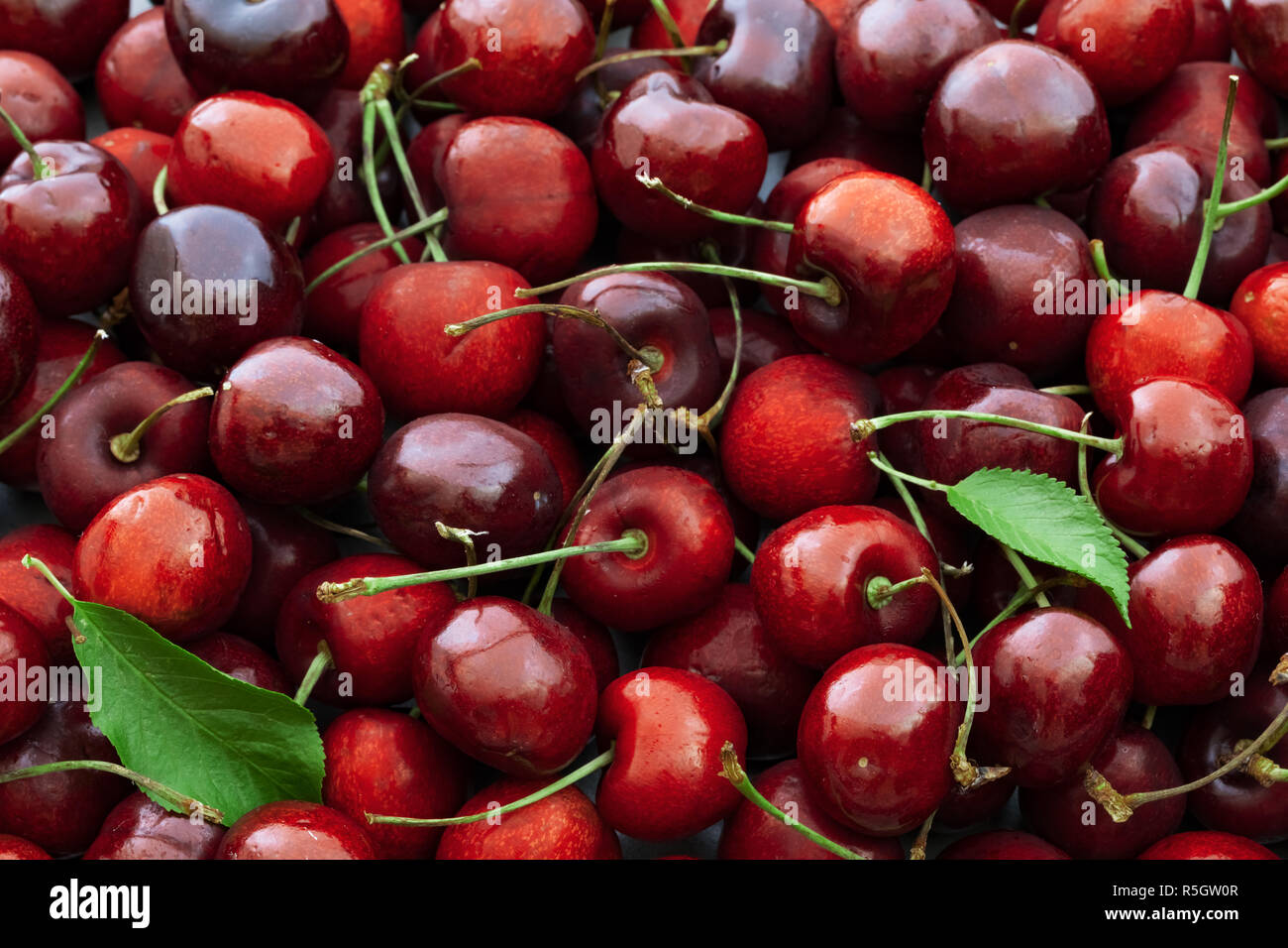 Cherry background, sweet red cherries Stock Photo - Alamy