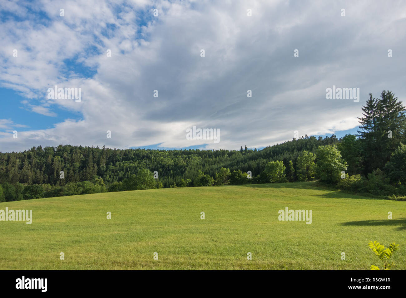 landscape in the summer Stock Photo - Alamy