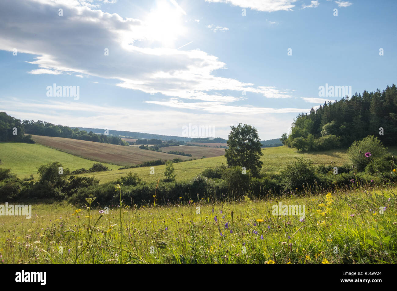 landscape in the summer Stock Photo - Alamy
