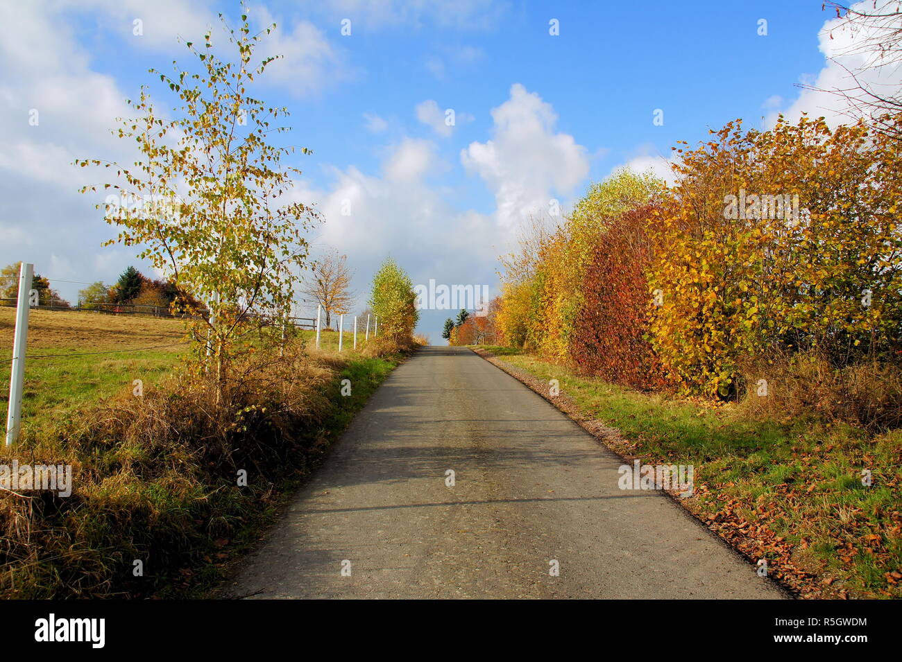 farming path in autumnrn Stock Photo - Alamy