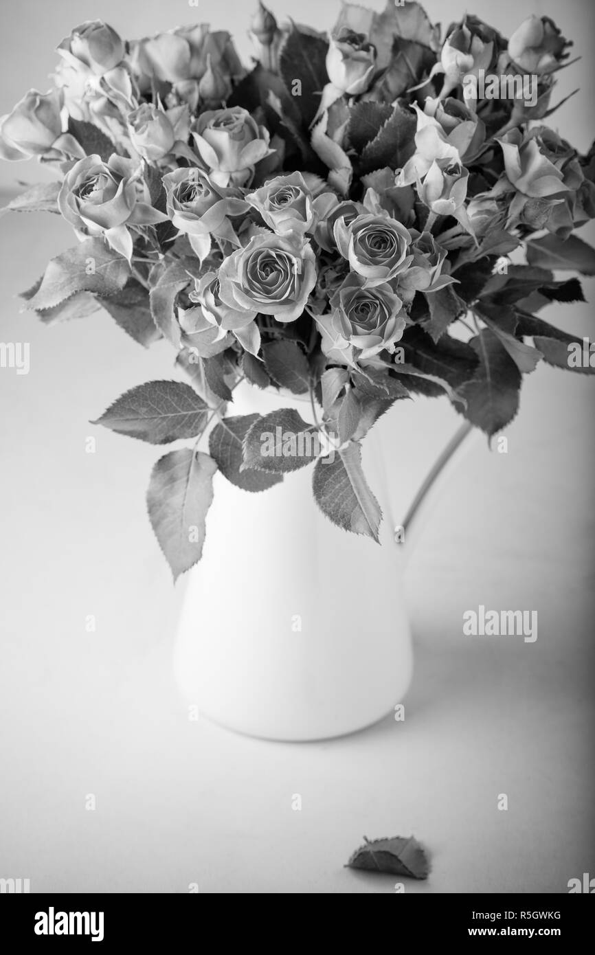 Isolated holiday green Black and White Stock Photos & Images - Alamy