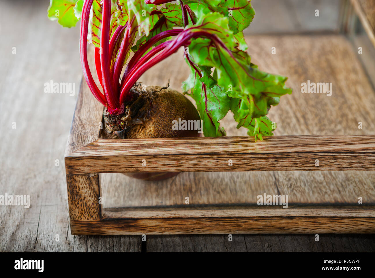 Raw Organic Beet Stock Photo - Alamy