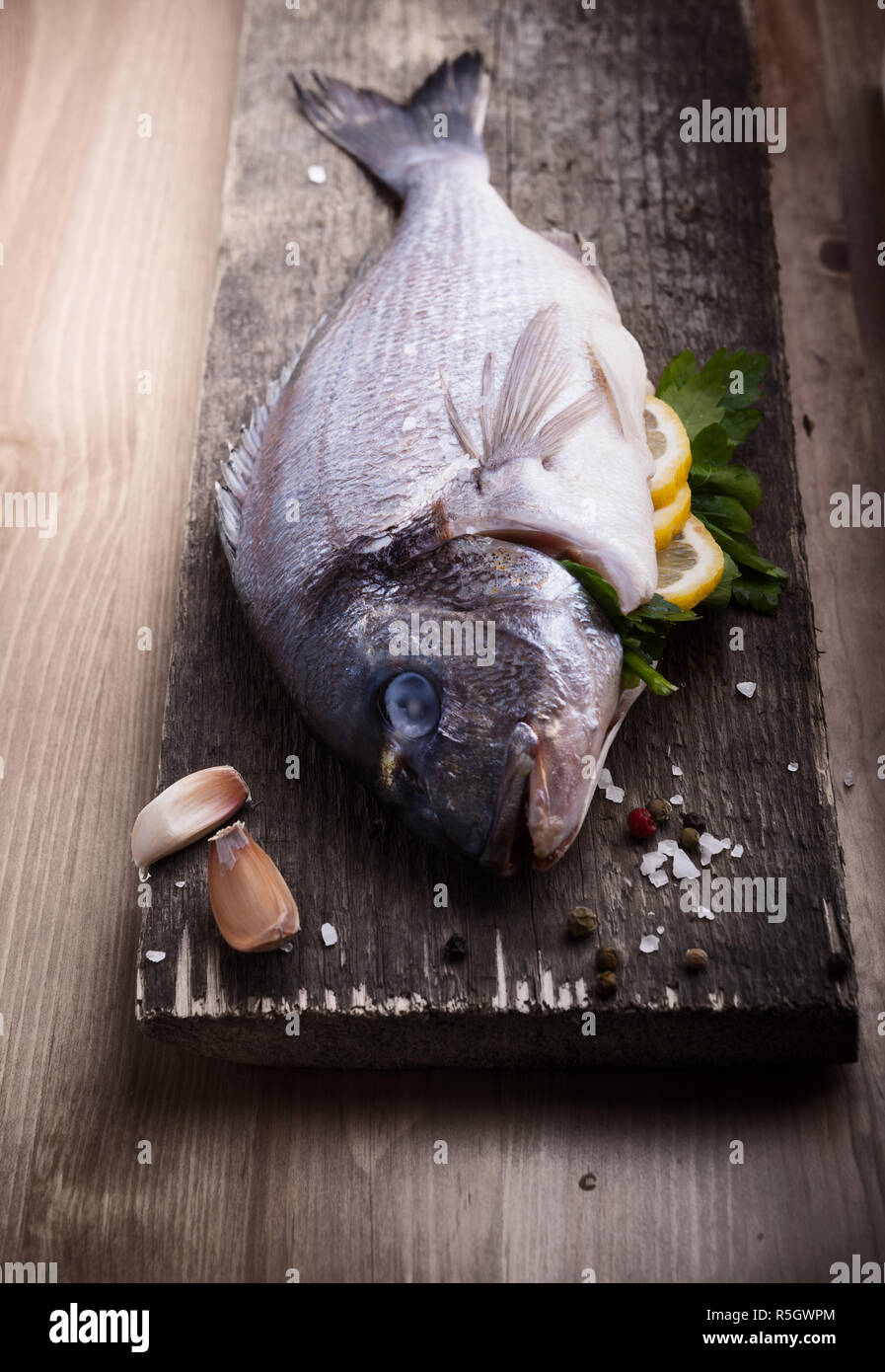 Sea Bream fish Stock Photo - Alamy