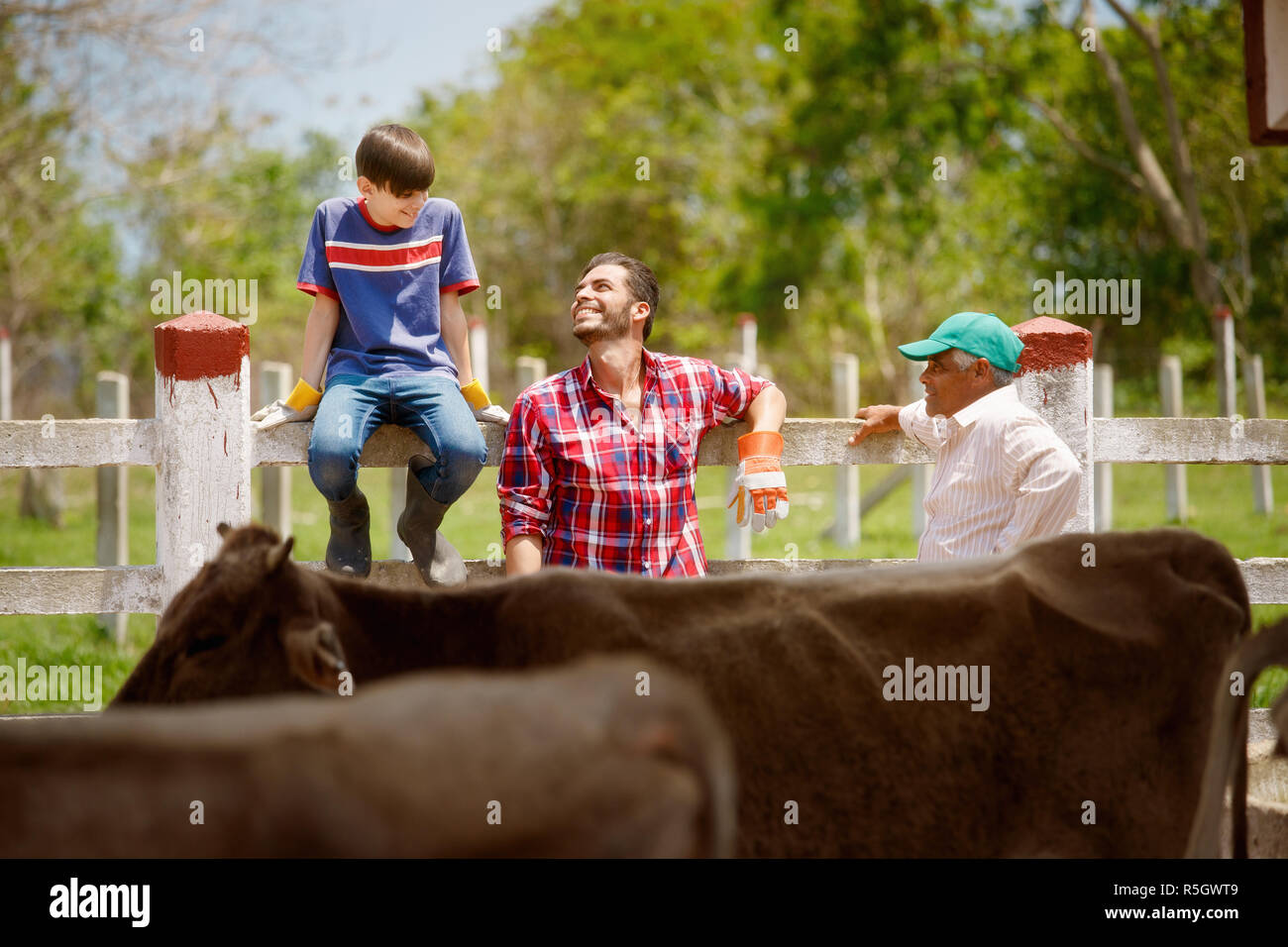 Three Generations Family Of Farmers Laughing In Farm Stock Photo - Alamy