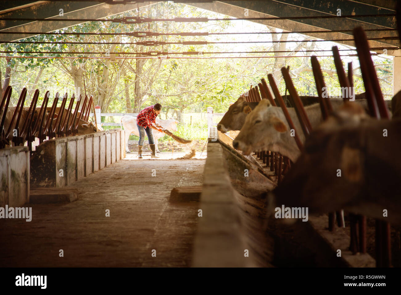 Worker sweeping factory hi-res stock photography and images - Alamy