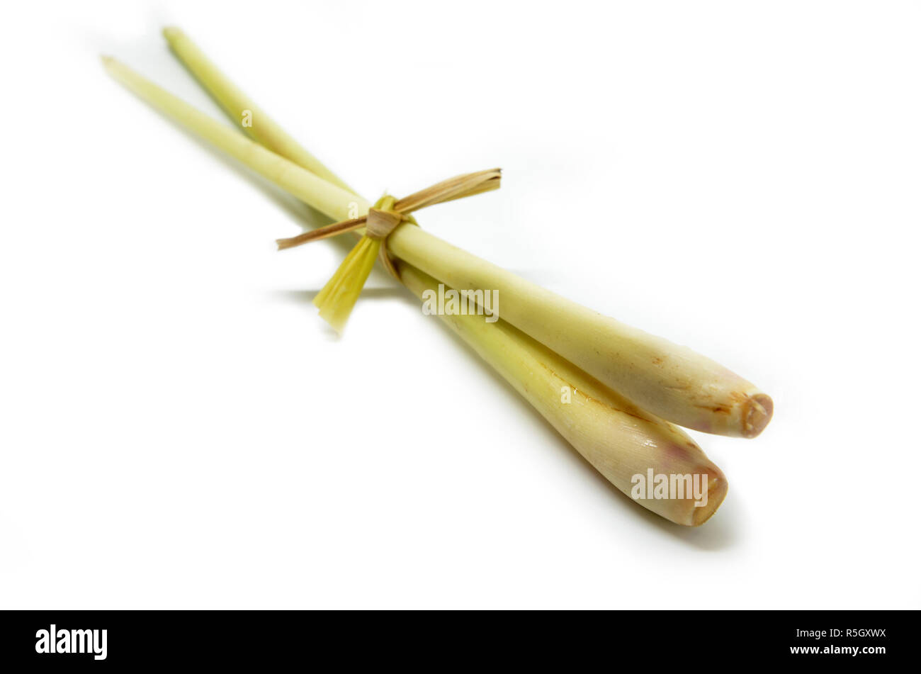 Fresh lemon grass on white background Stock Photo - Alamy