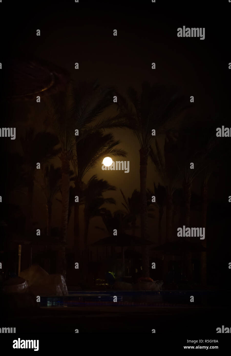 Beautiful night view silhouettes hi-res stock photography and images ...