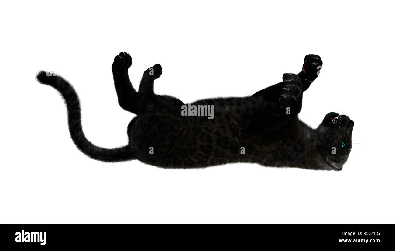 3d rendering black panther hi-res stock photography and images - Alamy