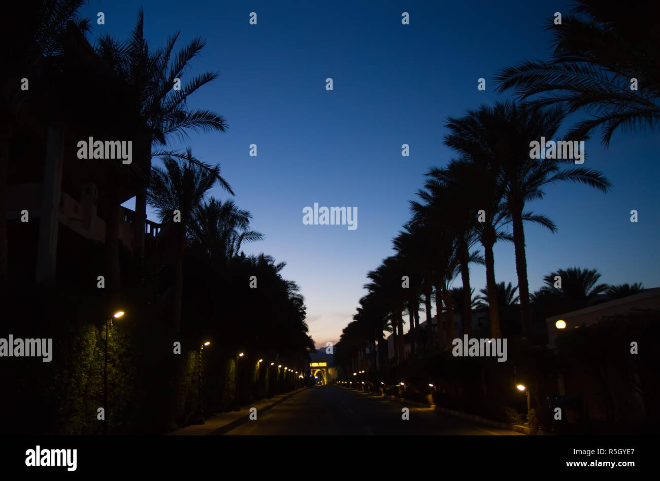 Beautiful night view silhouettes hi-res stock photography and images ...