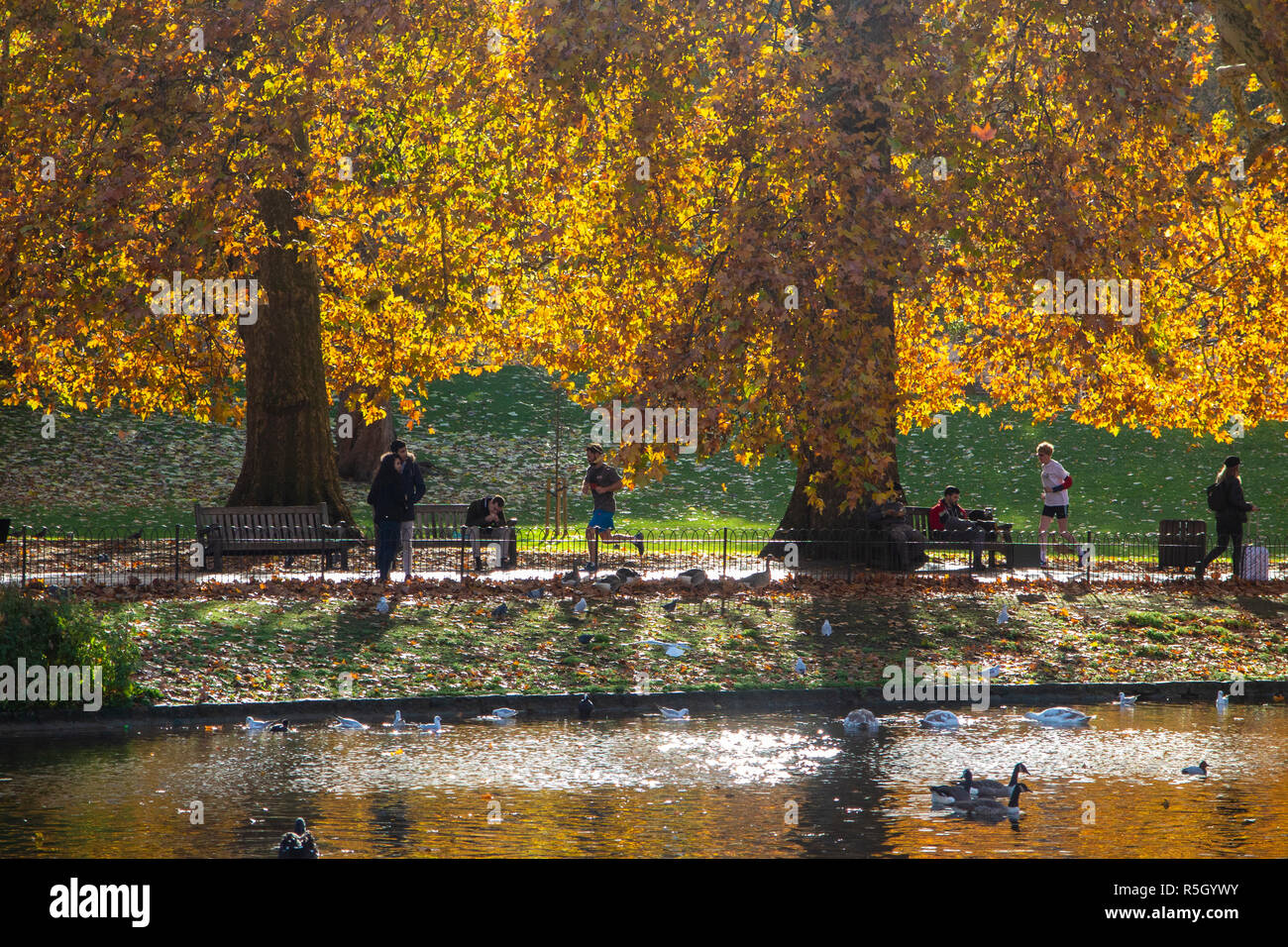 James Crisp High Resolution Stock Photography and Images - Alamy