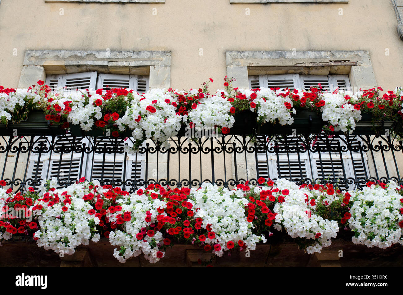 Red and white flower display on a balcony Stock Photo - Alamy