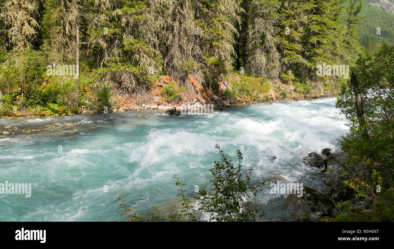 Fast mountain river in Siberia. Russia. Mountains with clean fresh air ...