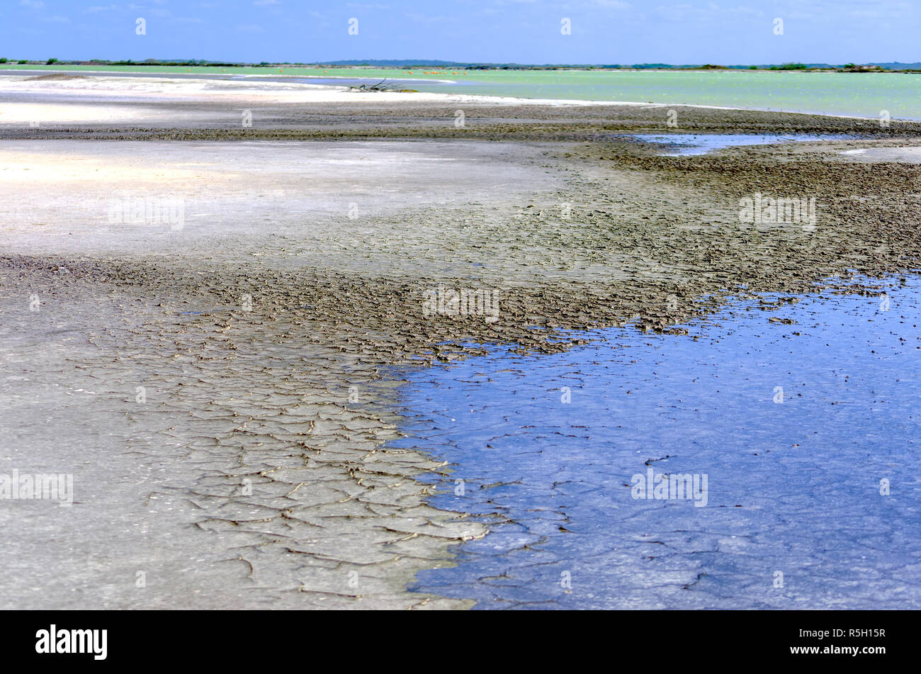 Landscape of Salt Area in Rio Lagartos Stock Photo - Alamy