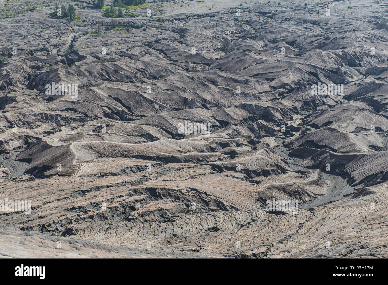 Volcanic Ash On Ground
