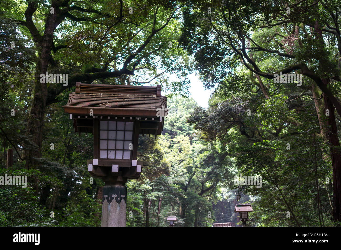 meiji shrine lantern Stock Photo - Alamy
