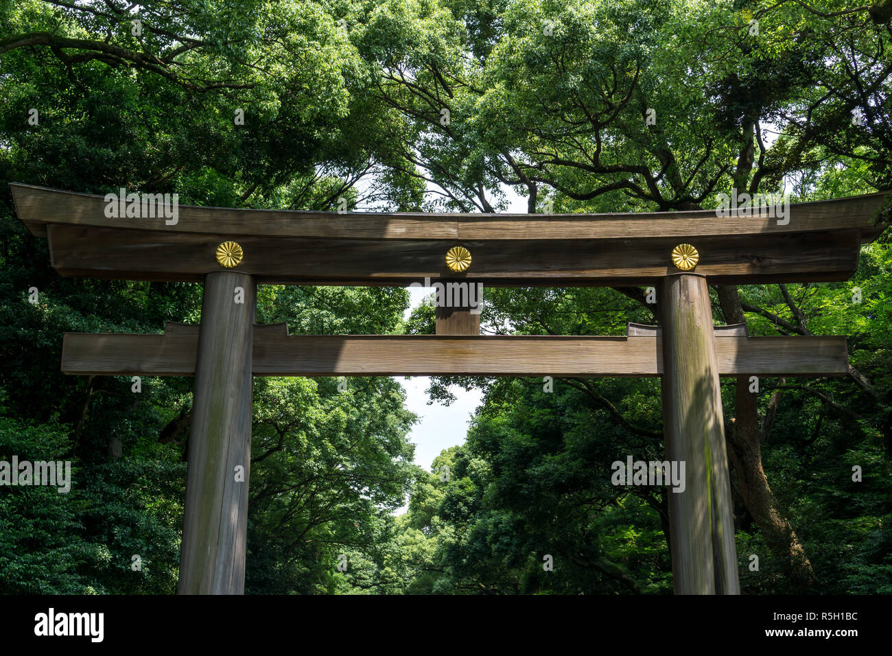 giant torri gates Stock Photo - Alamy