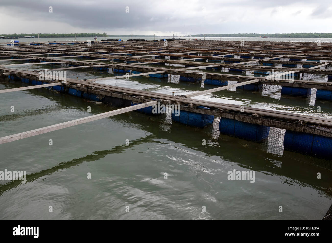 Offshore ocean open water fish farm in the tropics - Fish Farm in Asia ...