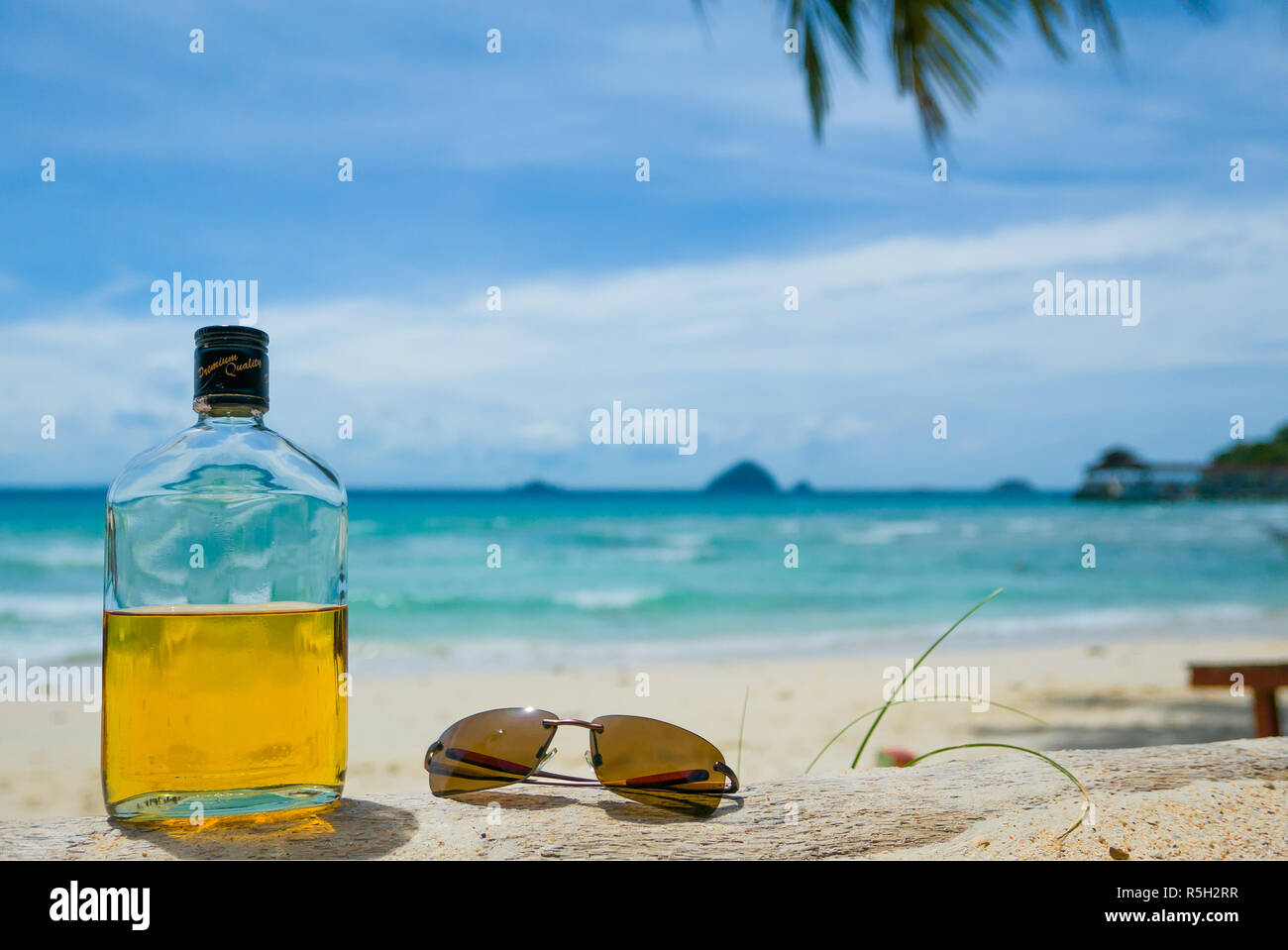 Bay rum tree hi-res stock photography and images - Alamy