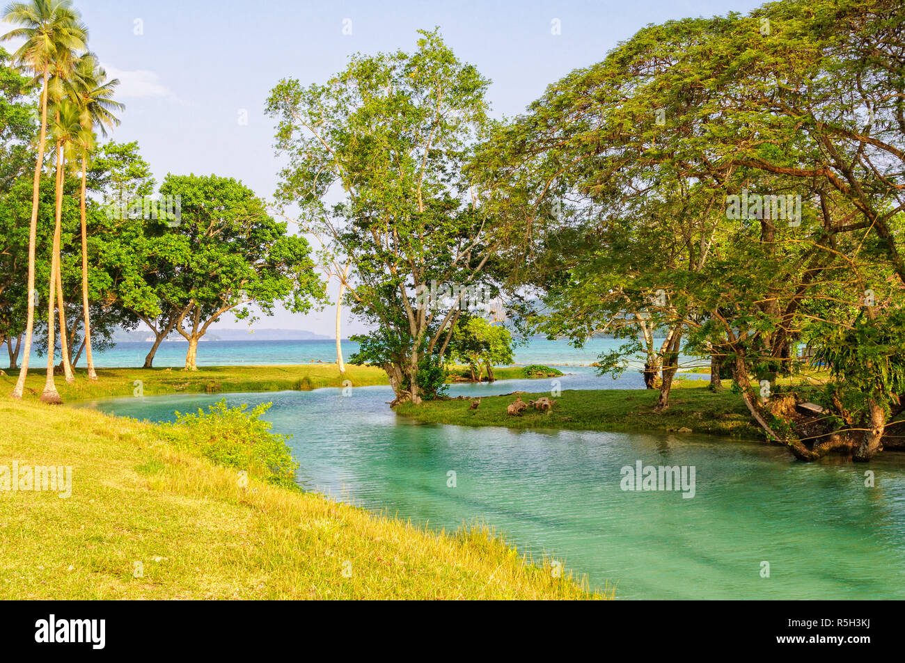 Velit Bay blue hole - Espiritu Santo Stock Photo - Alamy