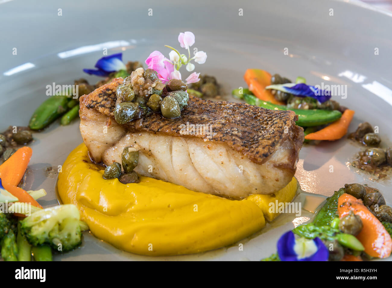 Grouper Fillets High Resolution Stock Photography and Images - Alamy