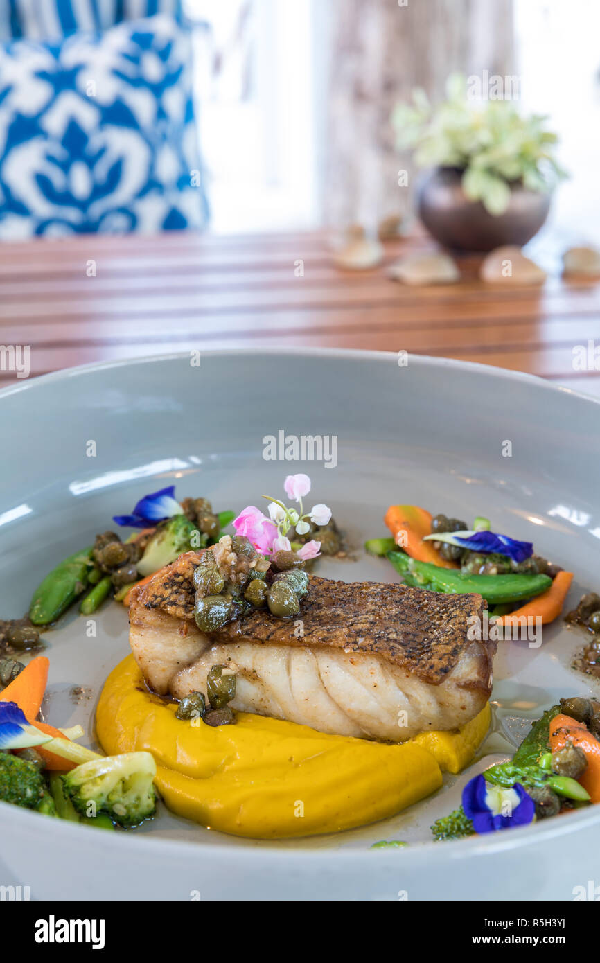 Grouper Fillets High Resolution Stock Photography and Images - Alamy