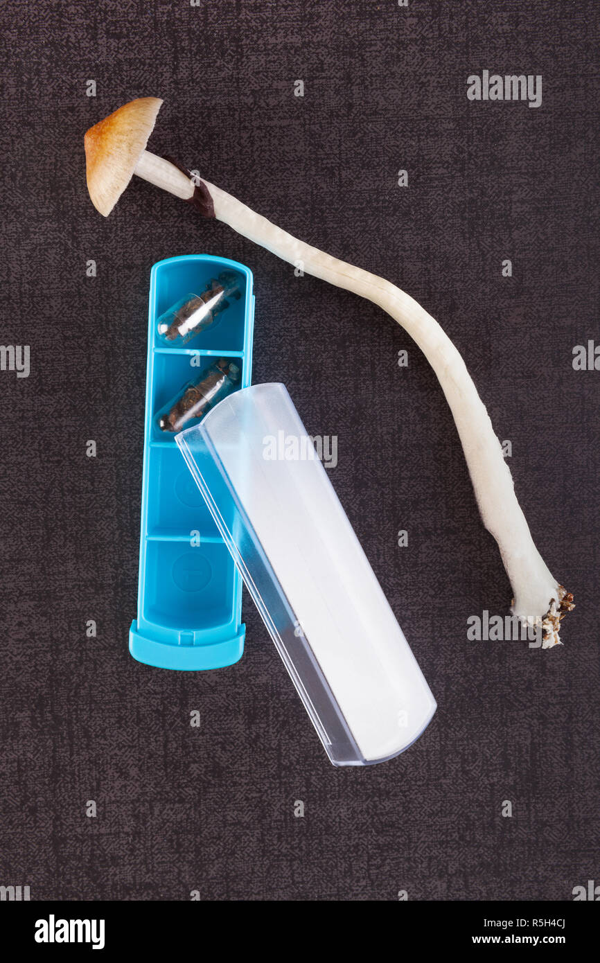 Psilocybin mushroom, microdose capsules Stock Photo - Alamy