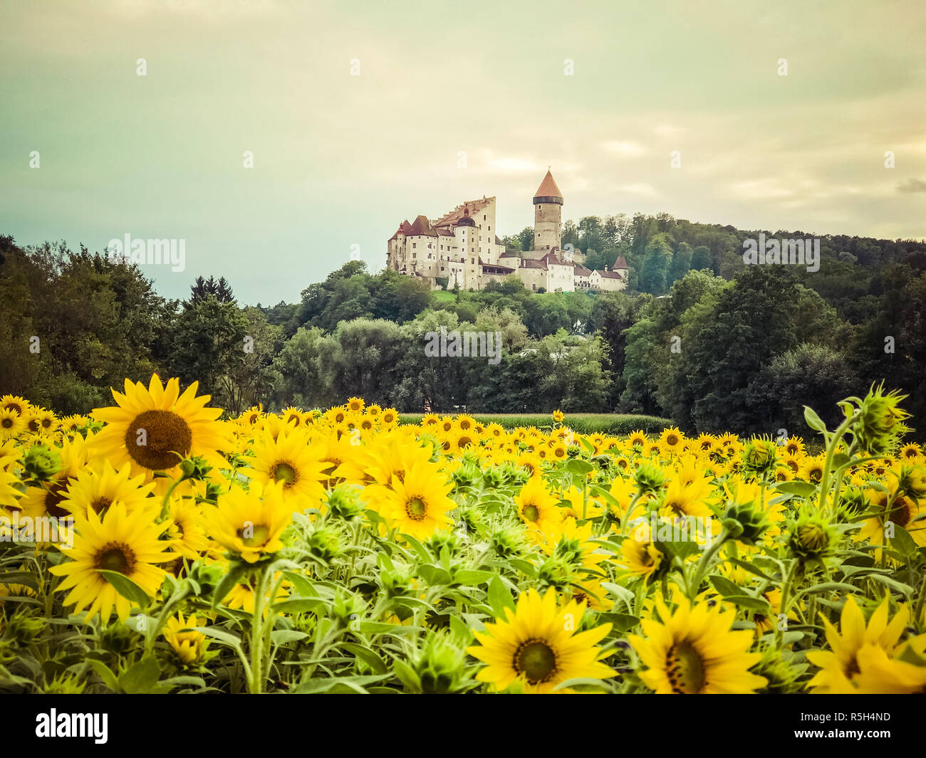 Clam Castle Austria High Resolution Stock Photography and Images - Alamy