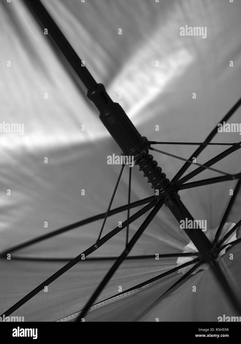 Abstract shield Black and White Stock Photos & Images - Alamy