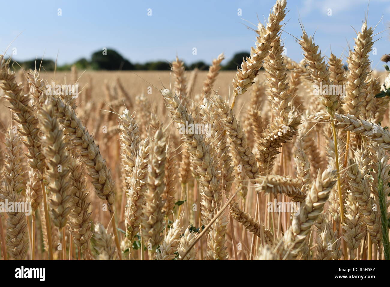 Old kent bakery hi-res stock photography and images - Alamy