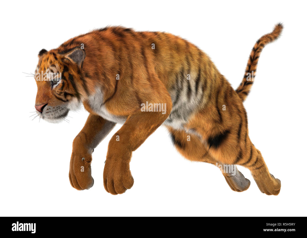 3D Rendering Big Cat Tiger on White Stock Photo - Alamy