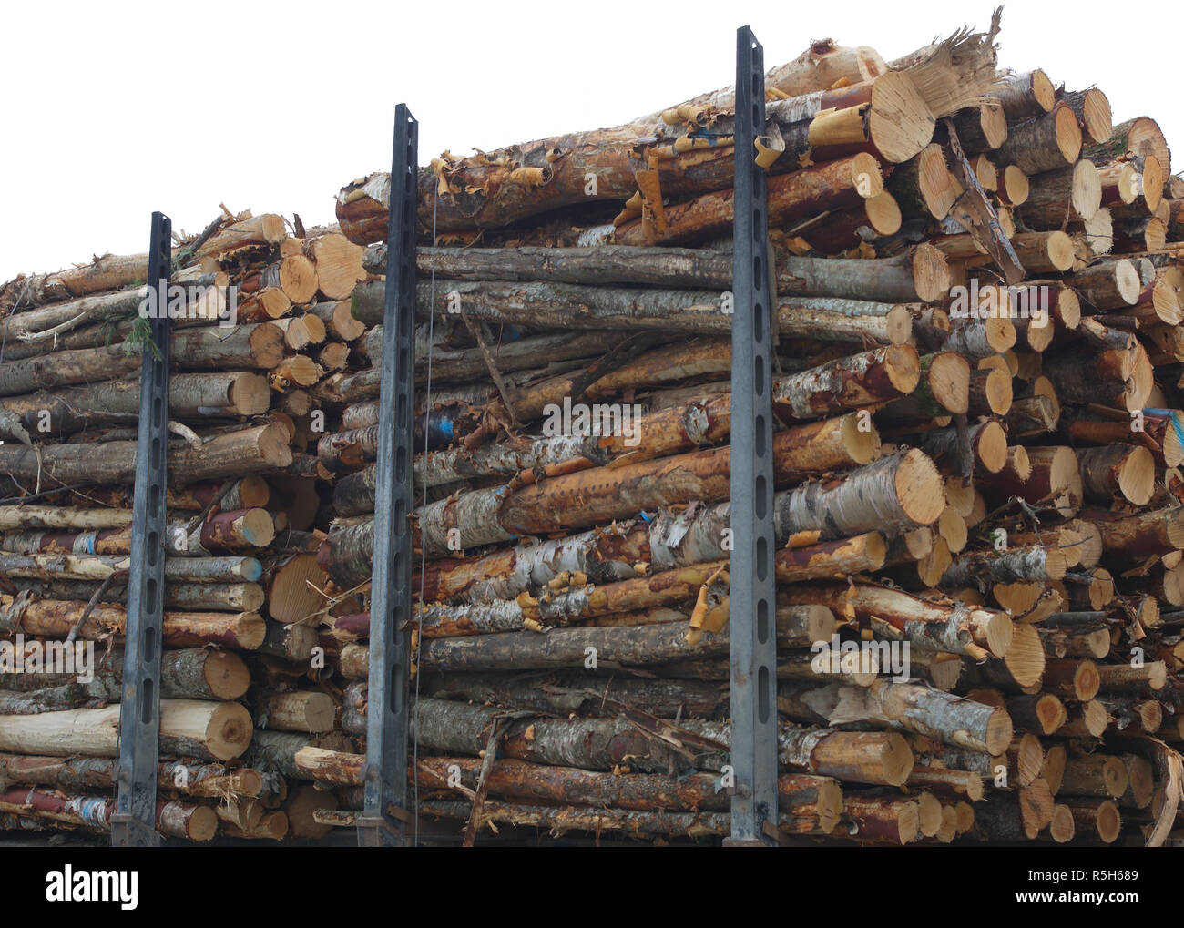 woodpile timber stack forestry transport trees trunks forest industry ...