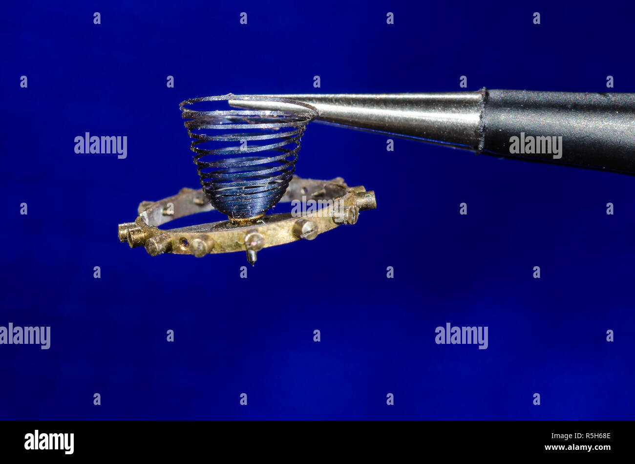 Watch Repair: Vintage Pocket Watch Hairspring Being Held by a Tweezers ...