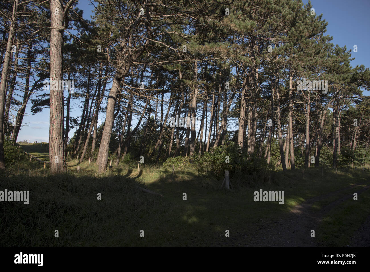 The West coast of Hiddensee Island in in Northeastern Germany is backed ...
