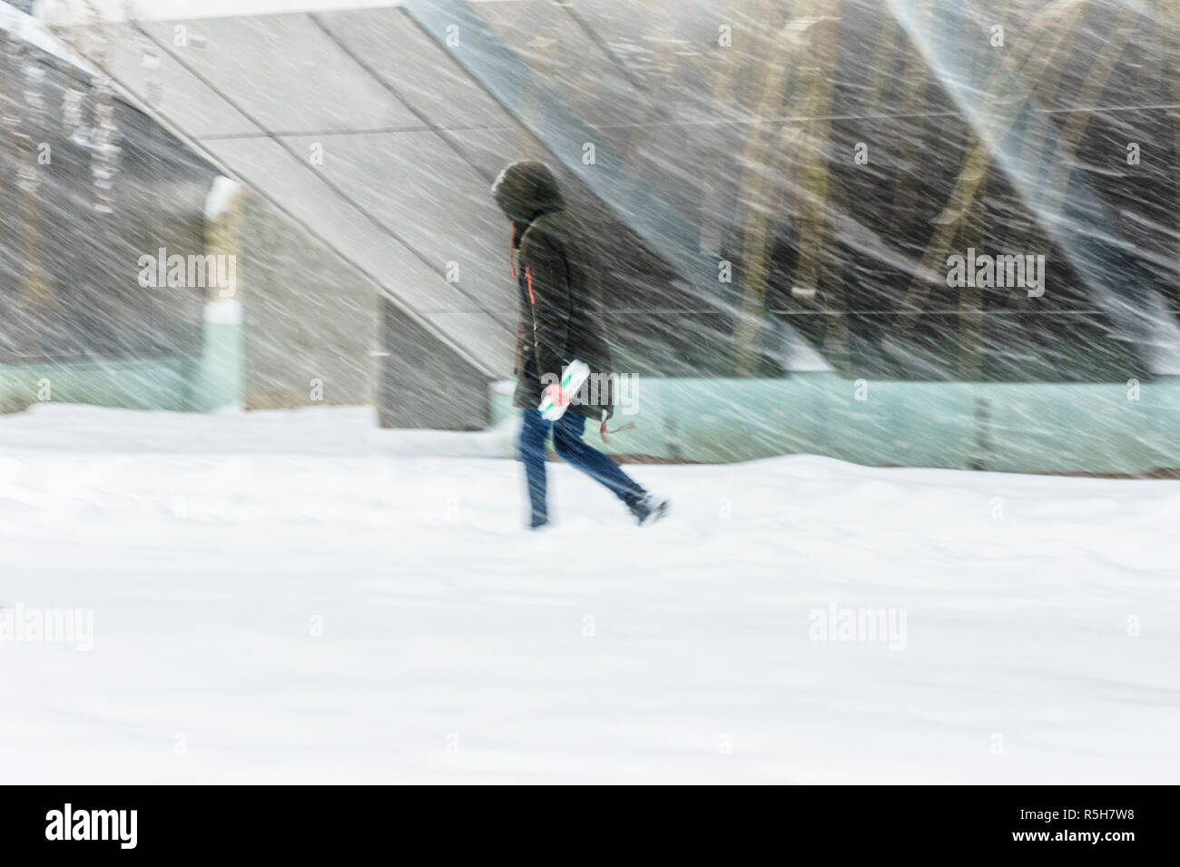 Tree in a hurry hi-res stock photography and images - Alamy