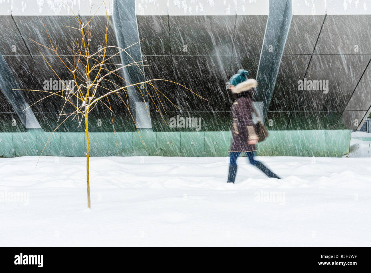 Silhouette of a late man. Hurry up in bad weather. Winter weather ...