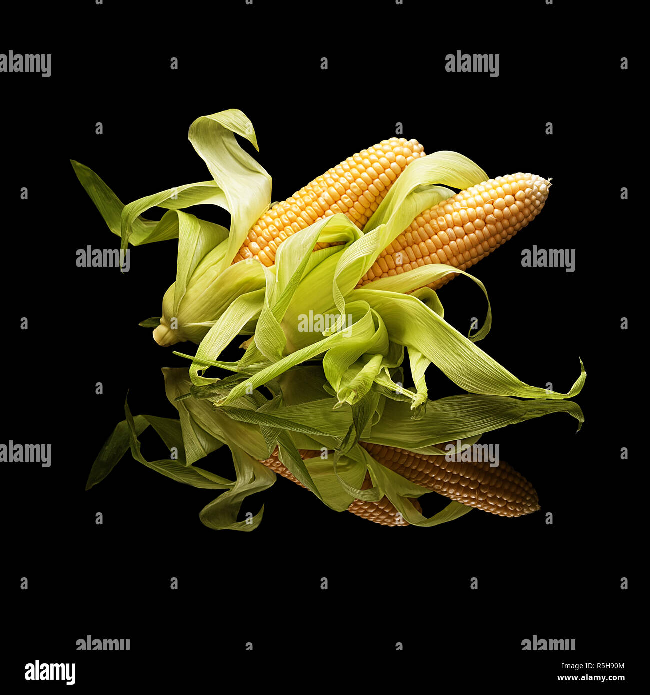 Two cobs of corn with leaves isolated on black Stock Photo - Alamy