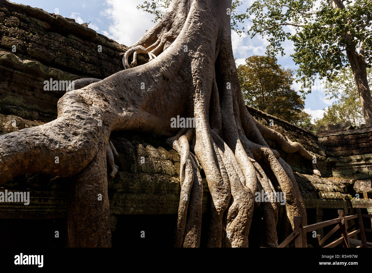 Prohn hi-res stock photography and images - Alamy