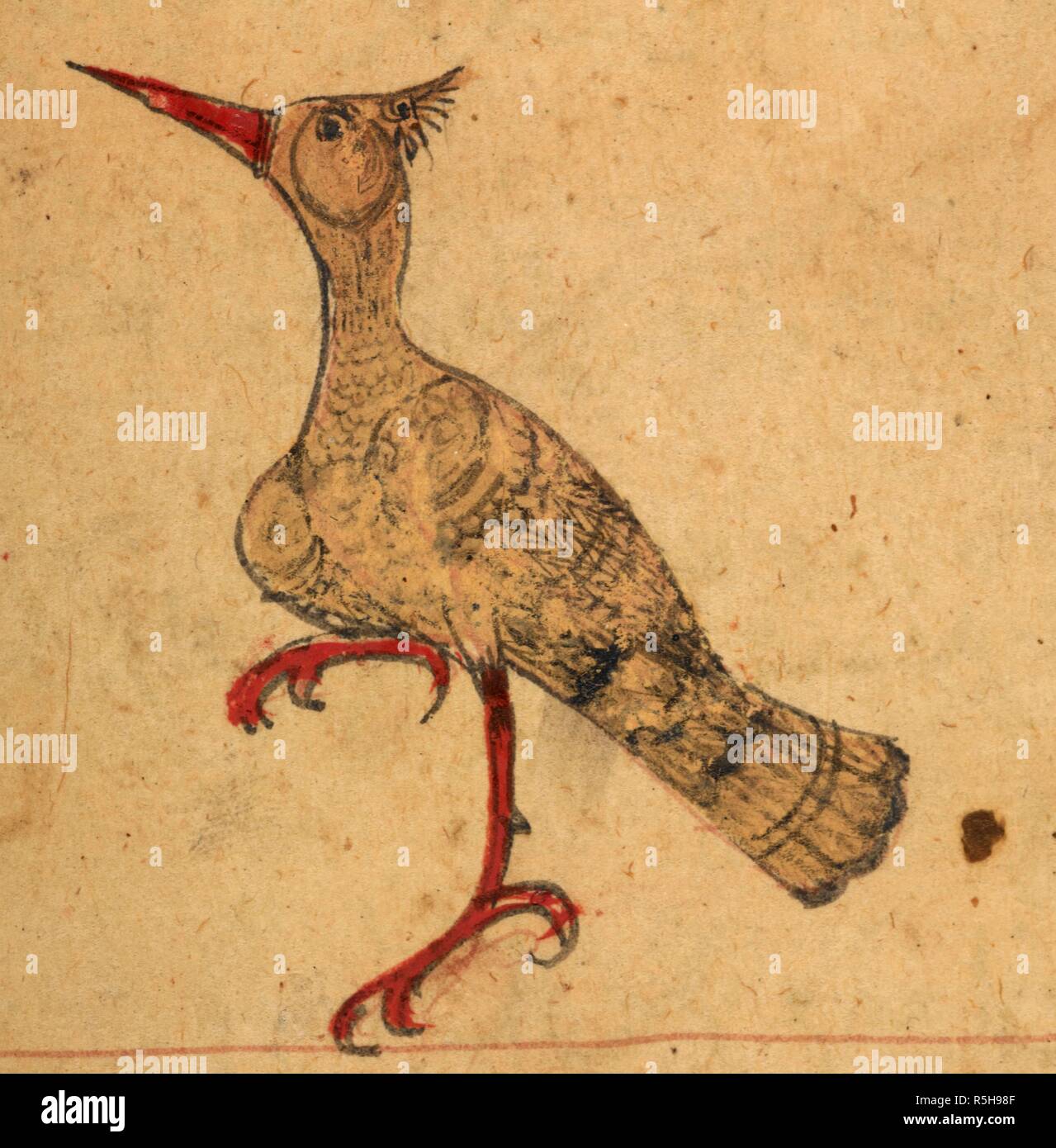 Kitab al hayawan hi-res stock photography and images - Alamy