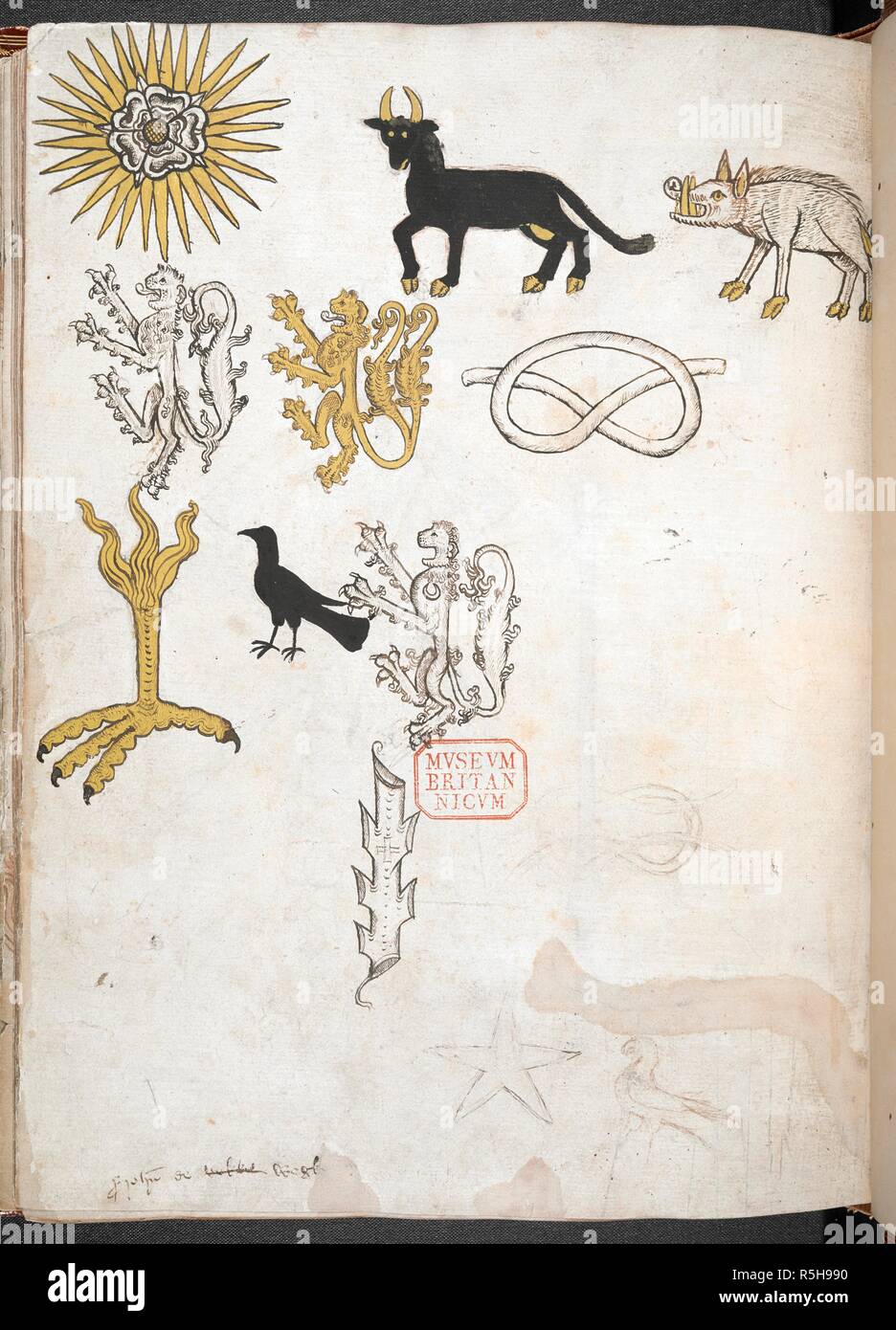 Coloured drawings of heraldic motifs. . Legh's Men of Arms (manuscript ...